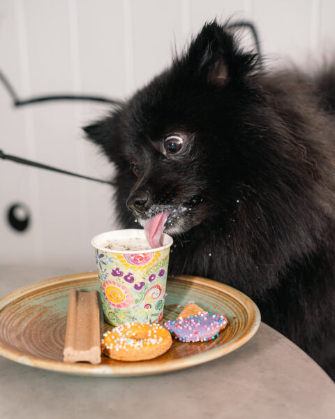 Chermside – Table 26 Cafe